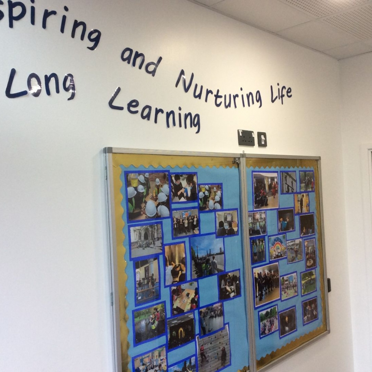 Elmgrove Primary & Nursery - New Entrance Display