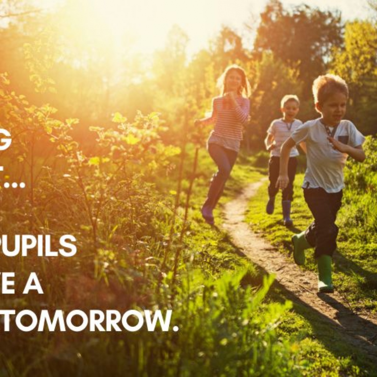 Elmgrove Primary & Nursery - Just One Tree Day